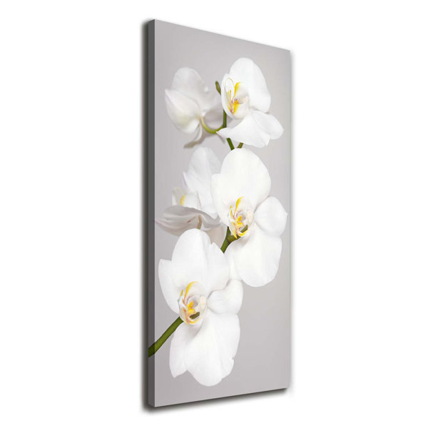 Brayden Studio Weiße Orchidee - Kunstdrucke auf Segeltuch | Wayfair.de